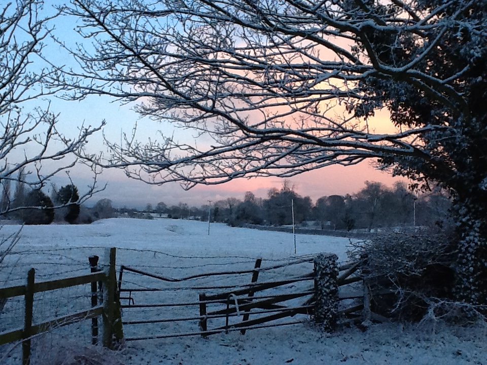 A New False Dawn – The Appeal of Mrs Toogood